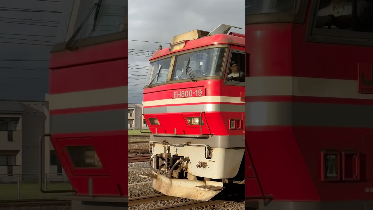 EH800-19 JR貨物 青森信号所 #eh800 - ECHO TRIP