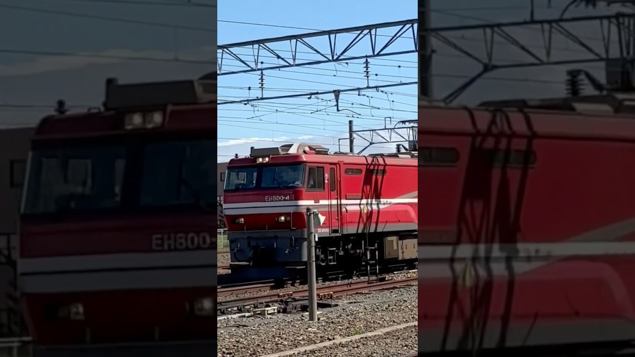 EH800-4 JR貨物 青森信号所 #eh800 2024/9/25 - ECHO TRIP