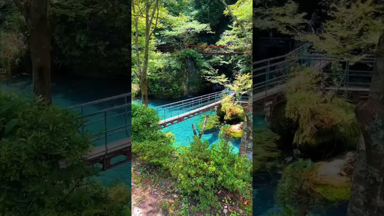 Hakuryuko Beautiful (Kochi) / 白龍湖 透明度が高すぎる高知県の白龍湖☺️ まるで鯉が浮いている様でした ...