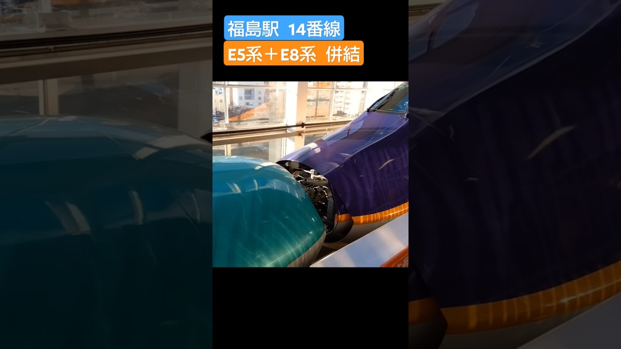 E5系やまびこ＋E8系つばさ併結 〜福島駅にて〜 #shorts #新幹線 #railway #福島県 - ECHO TRIP