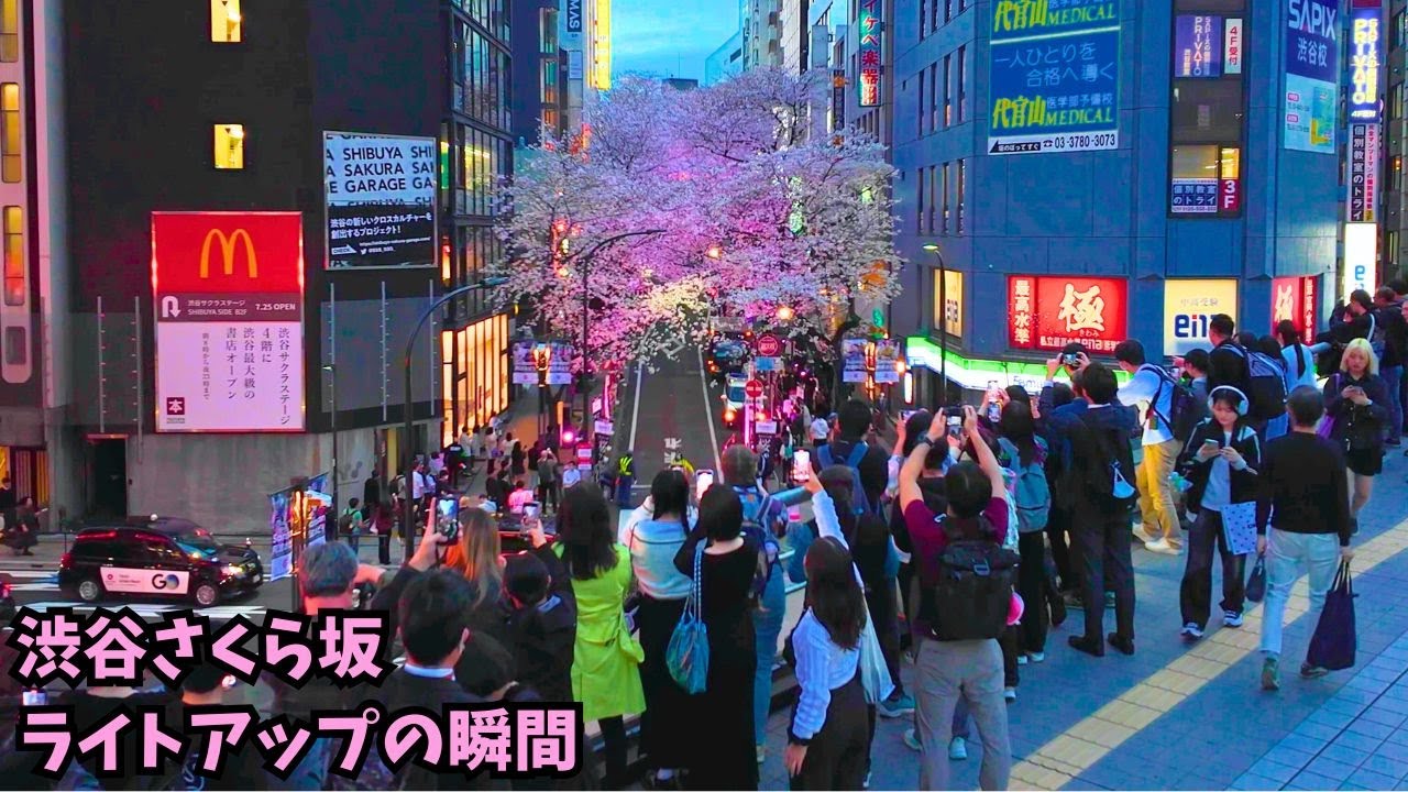 4K Magical Glow!!🌸Shibuya Turns Dreamy Pink at Night at Sakura-zaka St ...