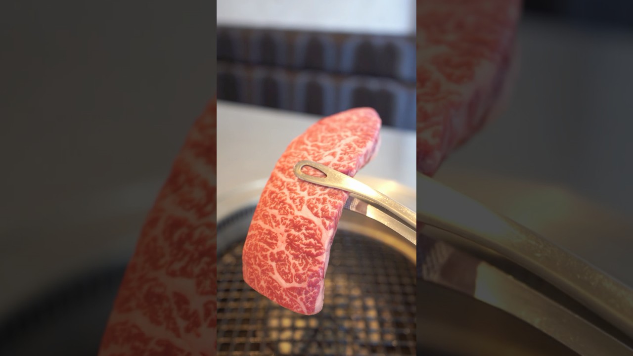Noto Gyu Premium Flap Meat — Rare Wagyu from Ishikawa 🥩🔥 - ECHO TRIP