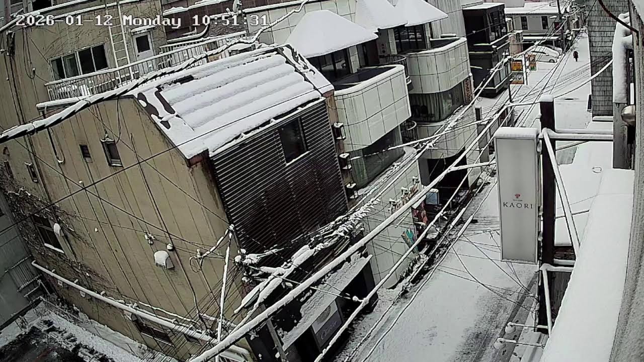 岩手県盛岡市大通りライブカメラ Iwate Morioka Odori LIve Camera.world.cam - ECHO TRIP