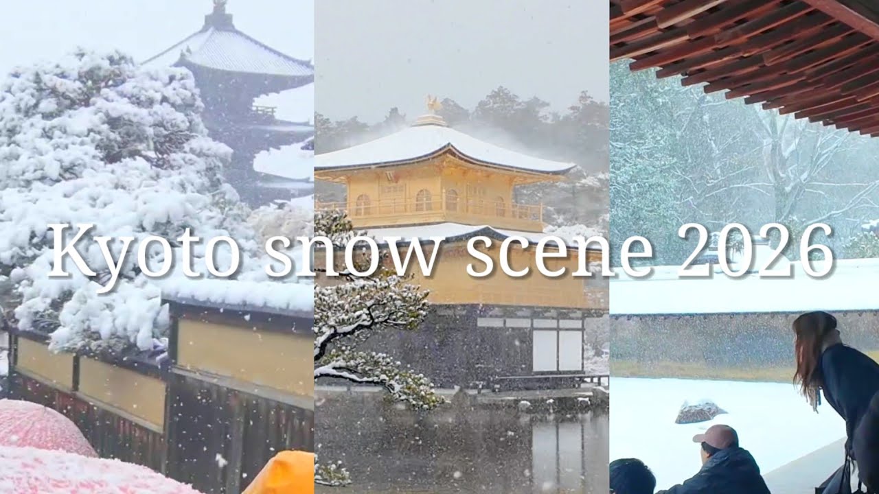 京都雪景色/Kyoto snow scene 2026 - ECHO TRIP
